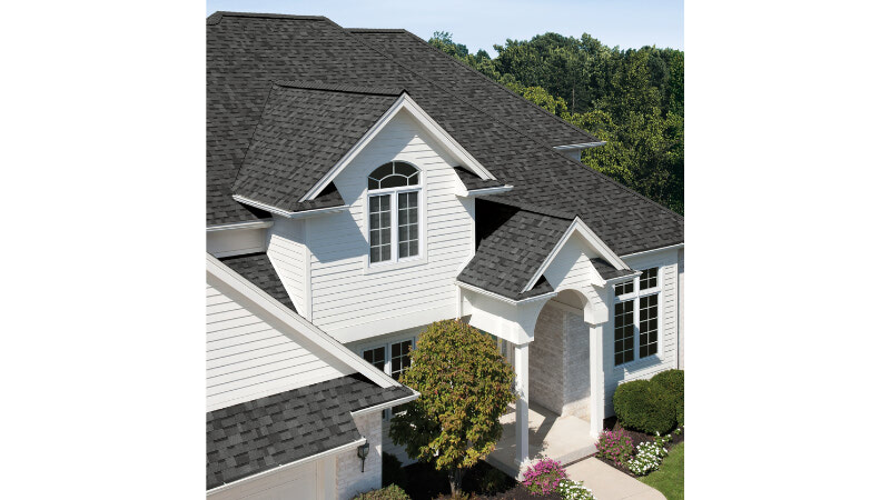 TruDefinition® Duration® Shingles